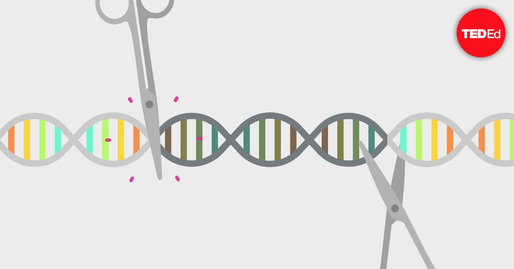 Janet Iwasa: Why it's so hard to cure HIV/AIDS | TED Talk