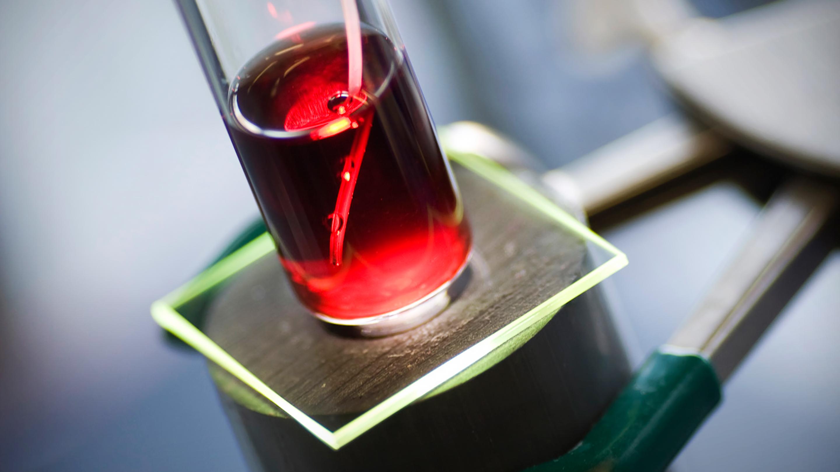 Grow your own stuff | TED Talks