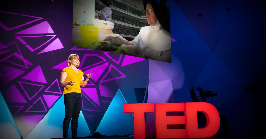 Victoria Gill: What a nun can teach a scientist about ecology | TED Talk