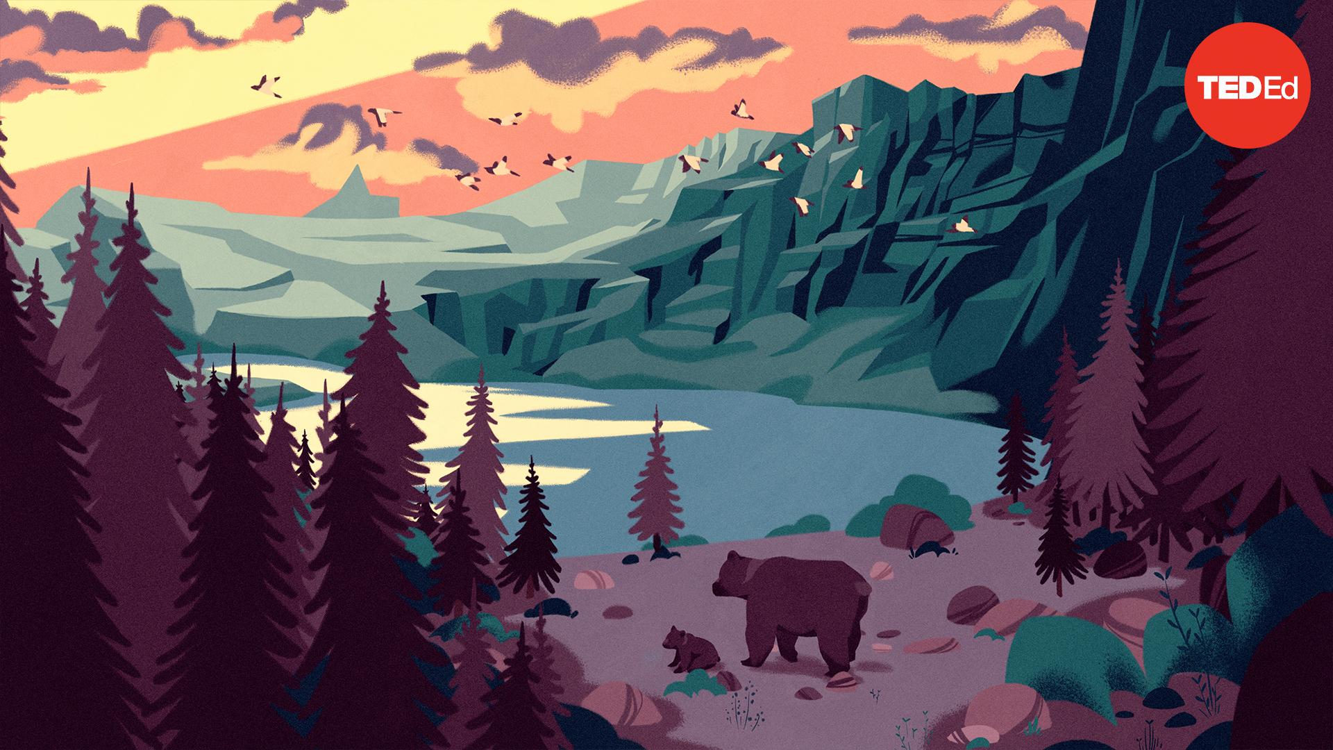 Elyse Cox: Who owns the "wilderness"? | TED Talk