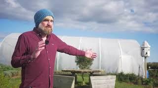 Matt Vernon: Foraging Connects Us with the Natural World | TED Talk