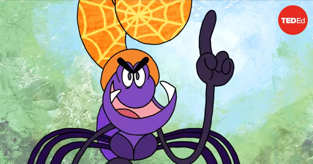 Emily Zobel Marshall: The myth of Anansi, the trickster spider | TED Talk