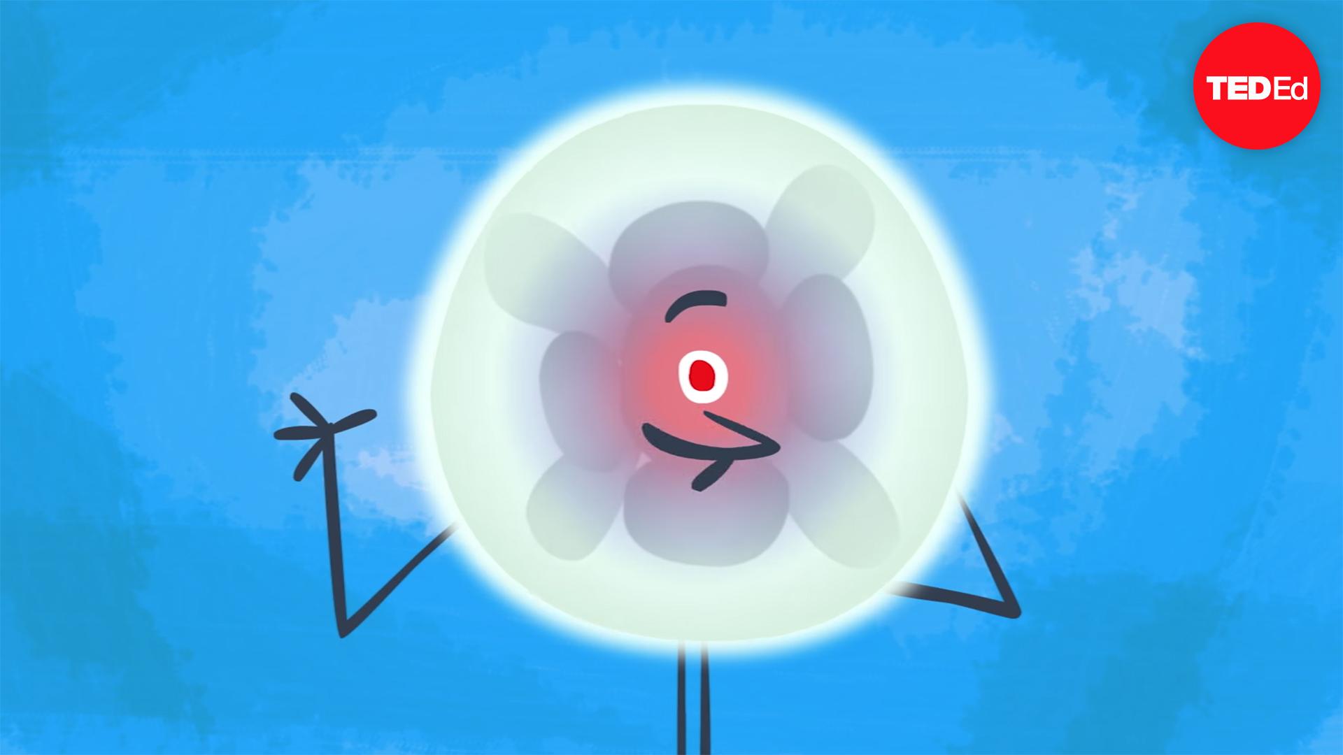 George Zaidan: What is fat? | TED Talk