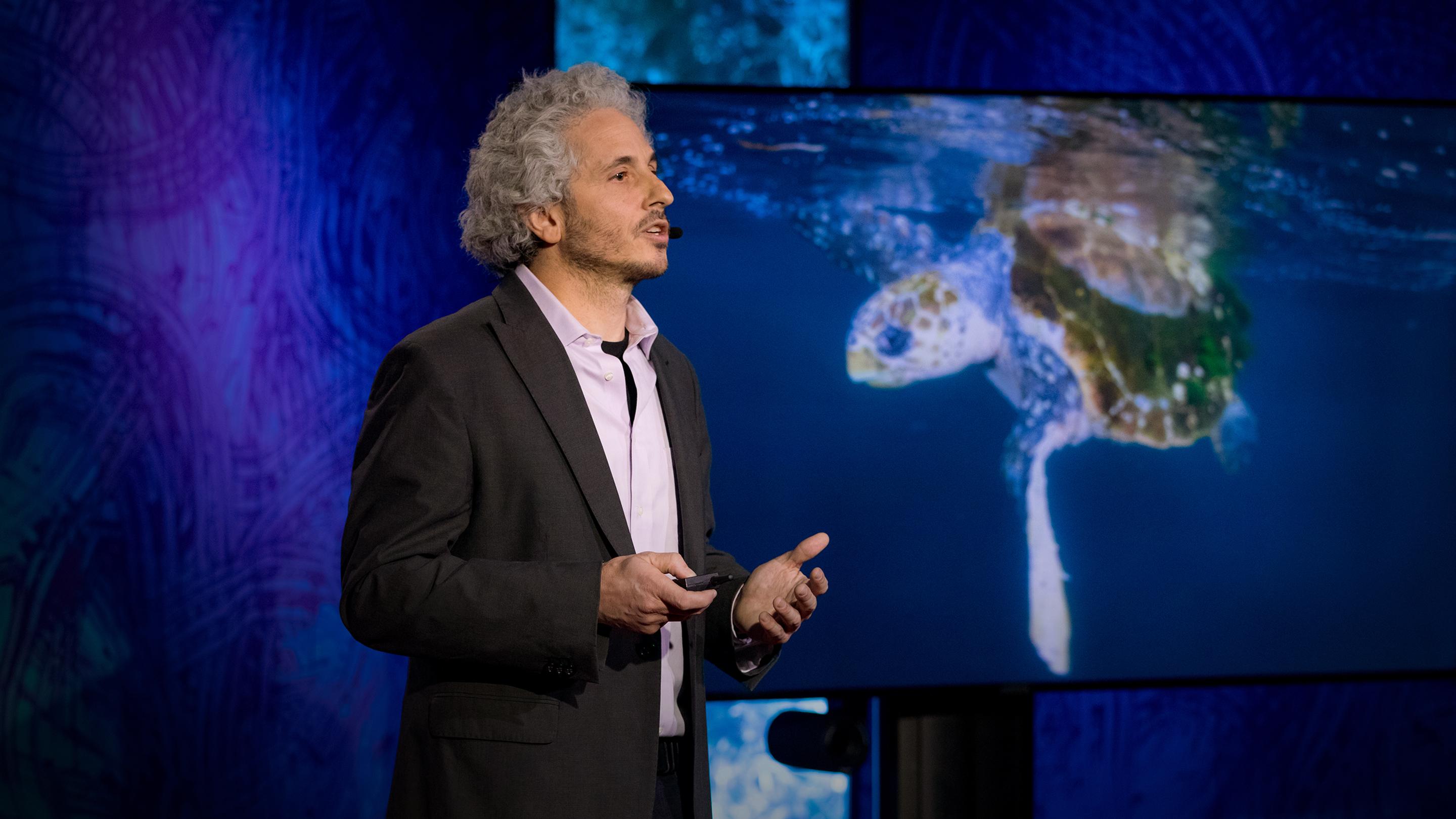 Keith Ellenbogen: New York's surprising underwater wildlife | TED Talk