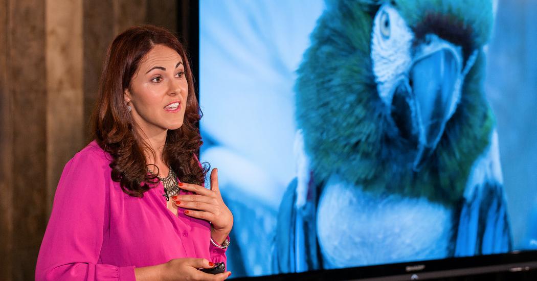 Laurel Braitman: Depressed dogs, cats with OCD — what animal madness ...