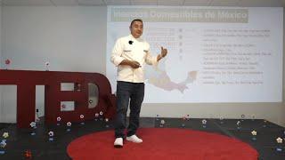 Mario Piñón: Entomofagia y los insectos | TED Talk