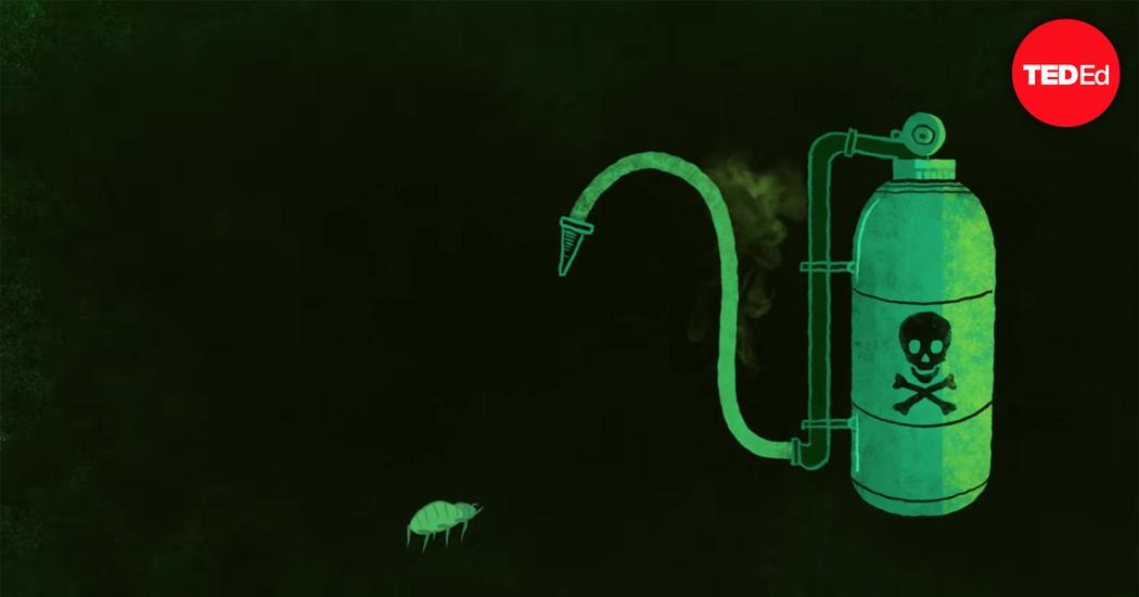 J. V. Maranto: History's deadliest colors | TED Talk