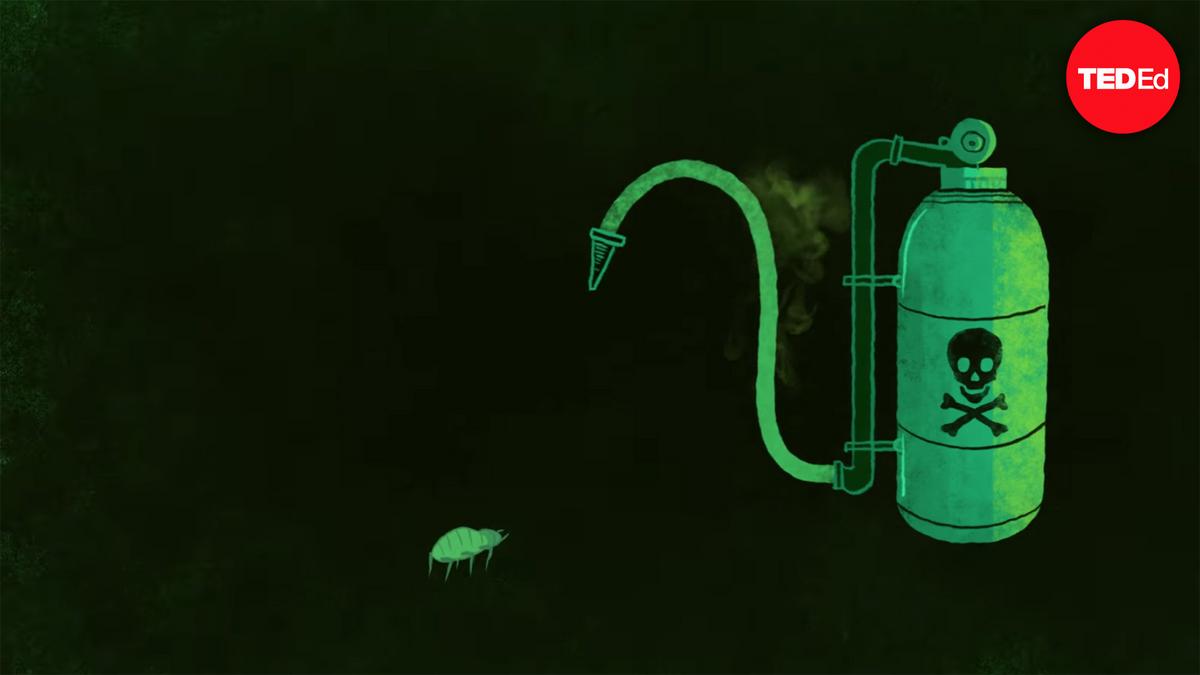 J. V. Maranto: History's deadliest colors | TED Talk