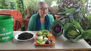 Vani Murthy: Sustainable living starts in the kitchen | TED Talk