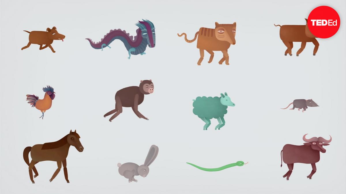 Megan Campisi and Pen-Pen Chen: The myth behind the Chinese zodiac ...