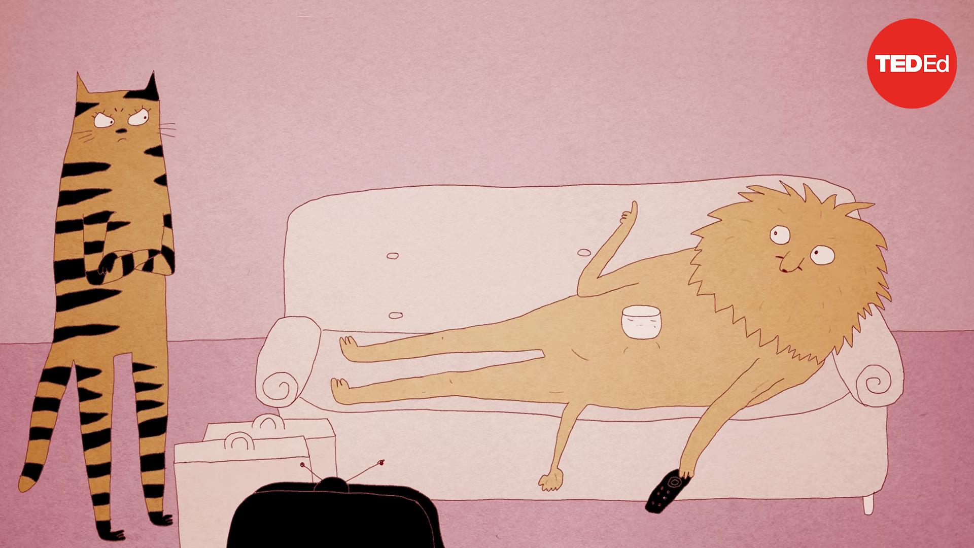 Rod Phillips: When did humans start getting divorced? | TED Talk