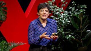 Valentina De Marchi: Why sustainability is a complex issue, and how to ...