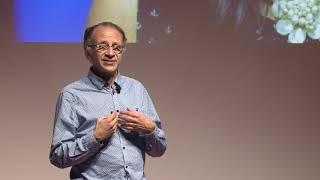 Marc Tirel: Demain : des écoles apprenantes et ouvertes? | TED Talk