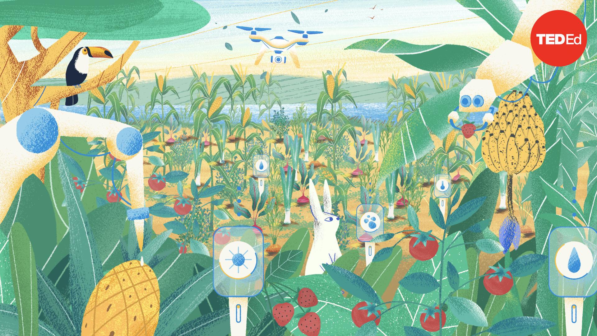 Brent Loken: Can we create the "perfect" farm? | TED Talk