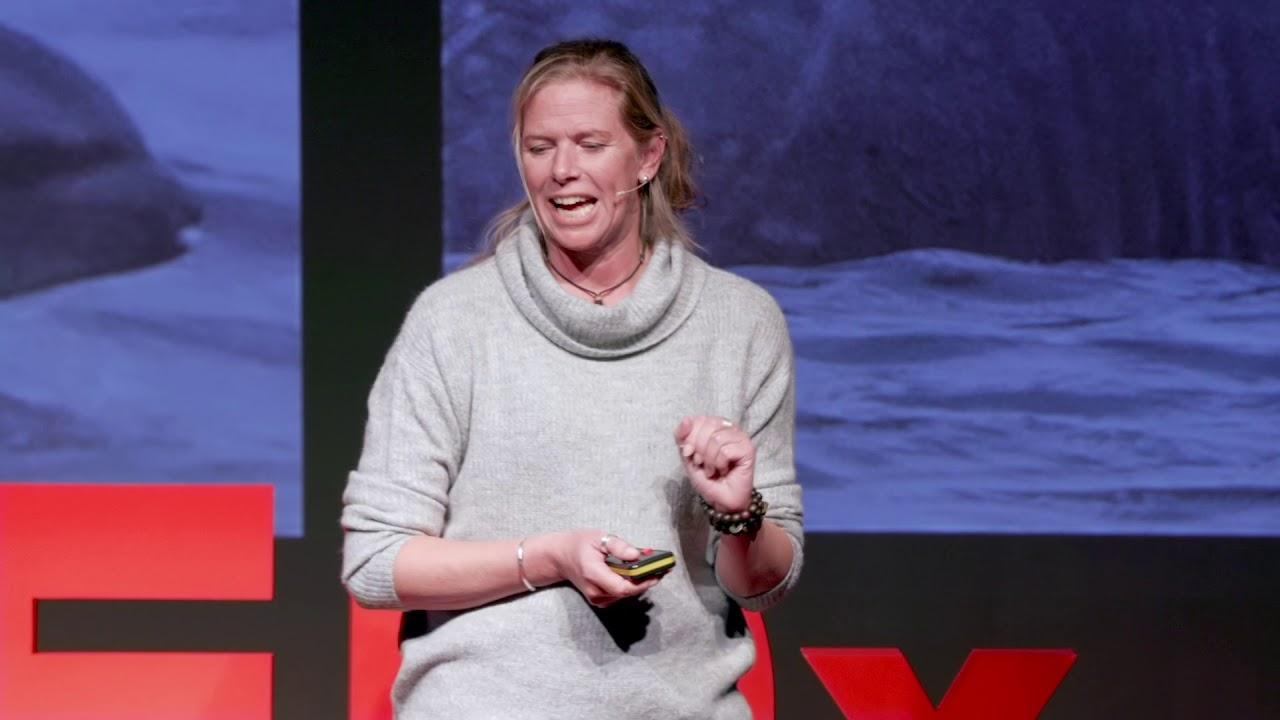 Nicola Hodgins: The dolphin dating game | TED Talk