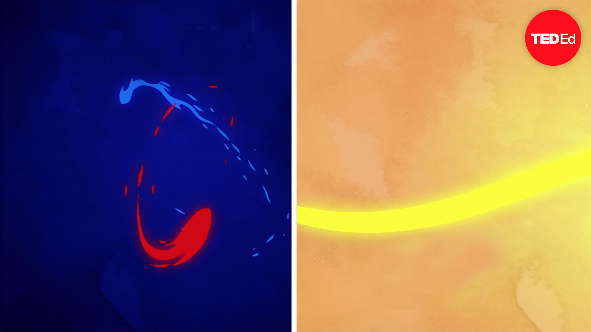 Colm Kelleher: Is light a particle or a wave? | TED Talk