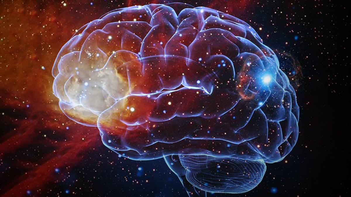 Michelle Borkin: Can astronomers help doctors? | TED Talk