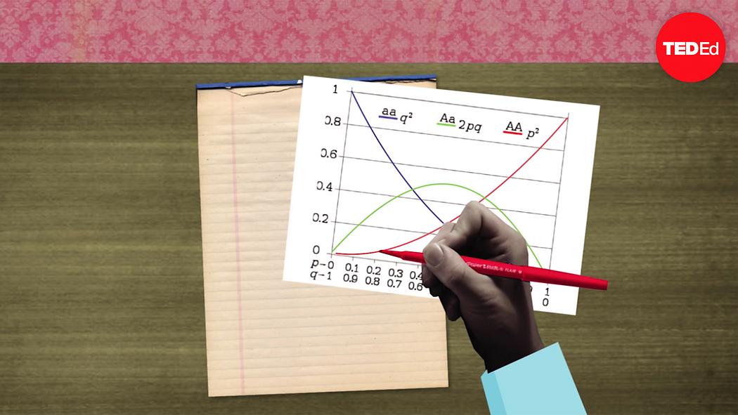 Jeff Dekofsky Is Math Discovered Or Invented TED Talk jeff-dekofsky-is-math-discovered-or-invented-ted-talk