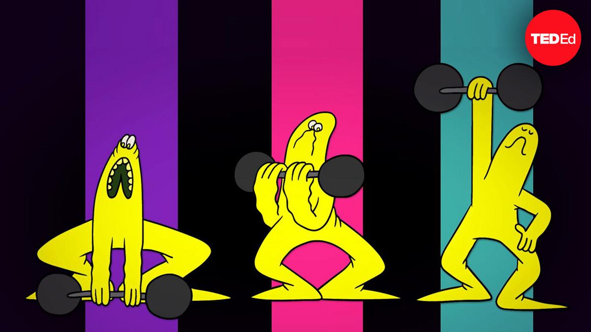 Christian Moro: The surprising reason our muscles get tired | TED Talk