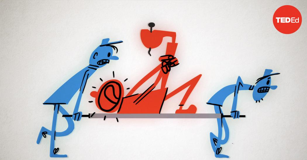 Joshua W. Pate: The mysterious science of pain | TED Talk