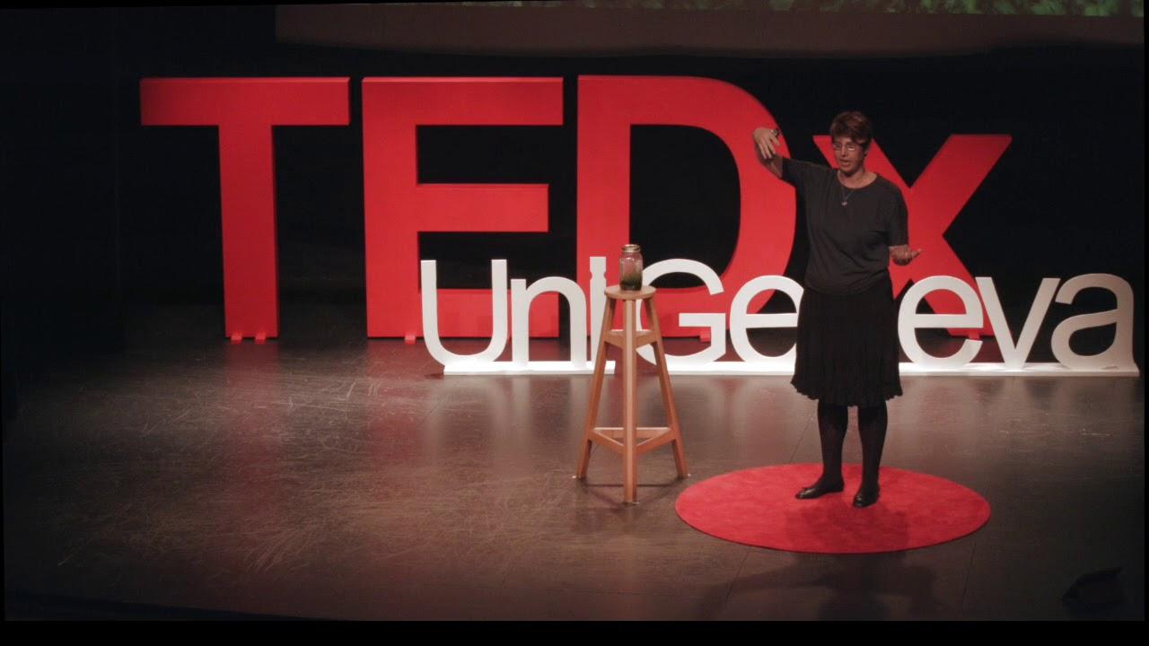 Anne Morel: Au commencement était la mousse | TED Talk