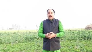 Dr. Sudhir Rana: Being your own shoulder against the wind | TED Talk