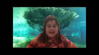 Dorothea Lasky: Dorothea Lasky - poetical journey | TED Talk