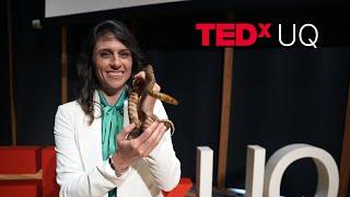 Christina Zdenek: Will Australian snakes kill me? The answer may ...