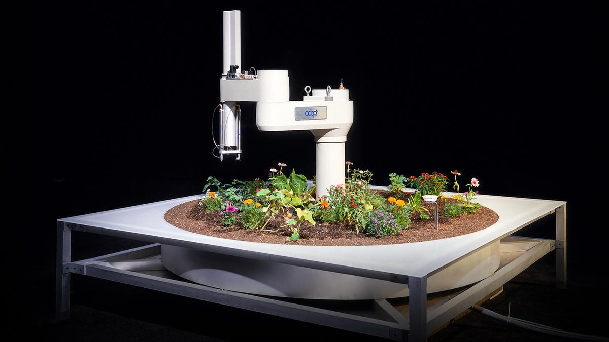 Ken Goldberg: 4 lessons from robots about being human | TED Talk