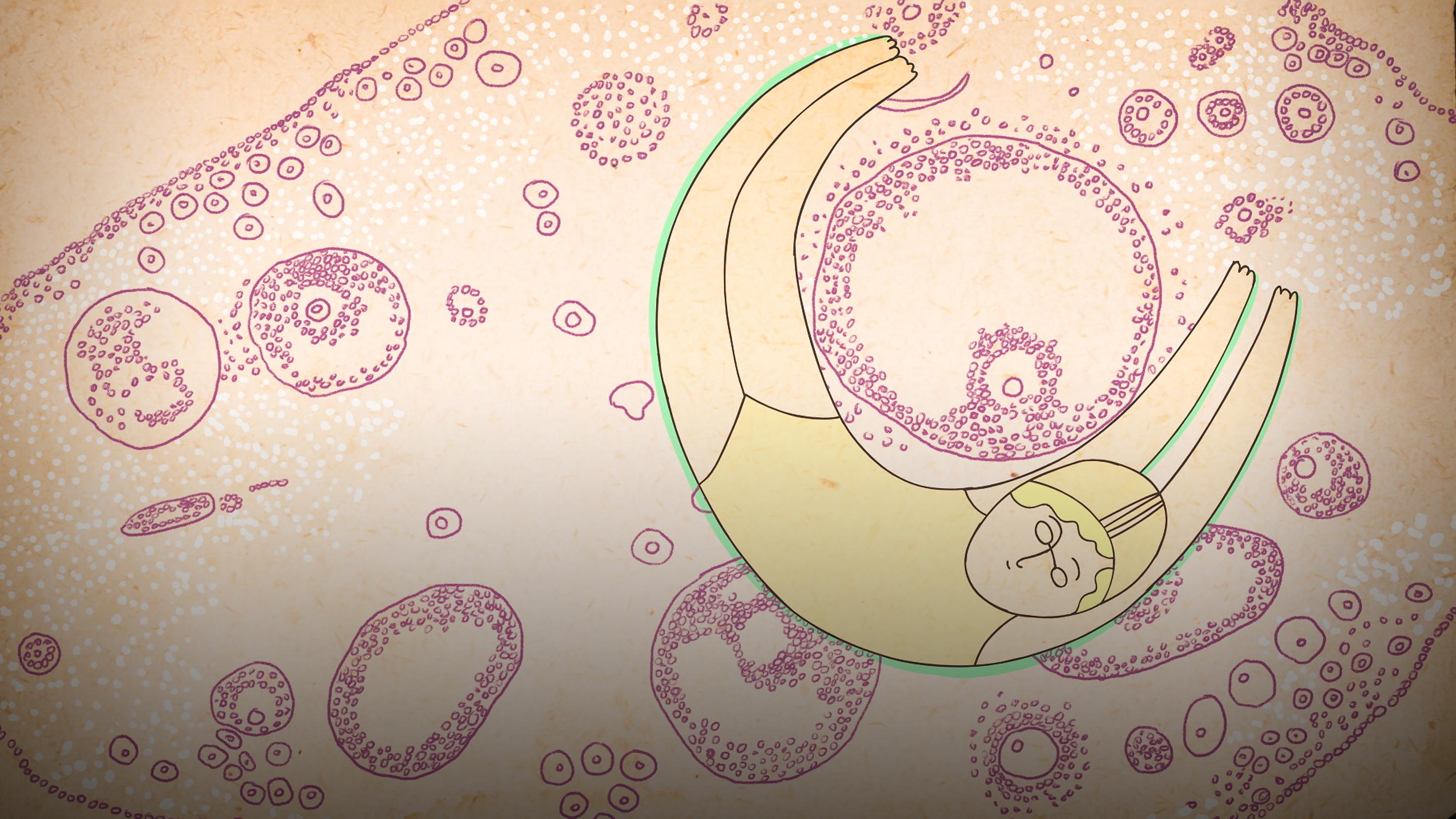 Jen Gunter: What really happens to your body during menopause | TED Talk