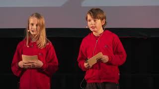 Aaron Grosse & Anakim Grosse: Insects | TED Talk