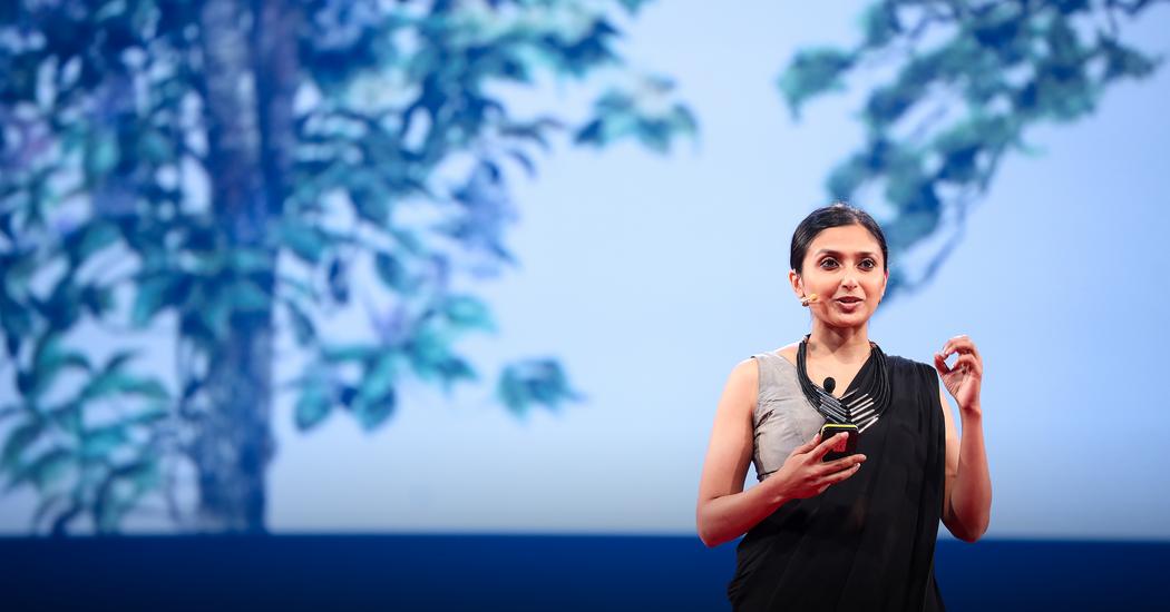 Nirupa Rao: An illustrated kingdom of real, fantastical plants | TED Talk