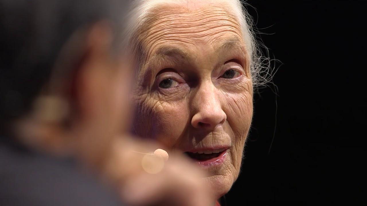 Dr. Jane Goodall, Guy Kawasaki: Dr. Jane Goodall, DBE, with Guy ...