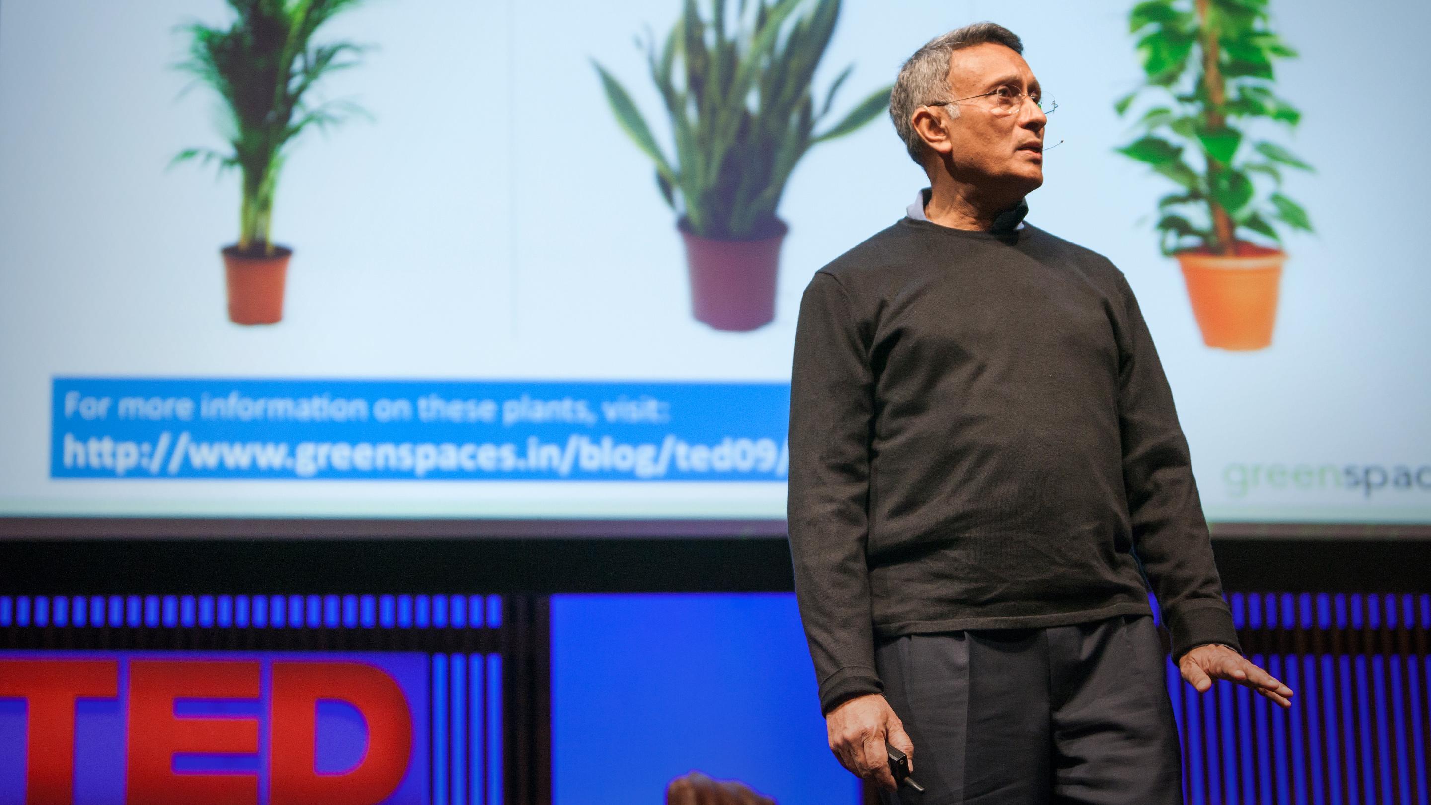 Short talks to watch during your coffee break | TED Talks