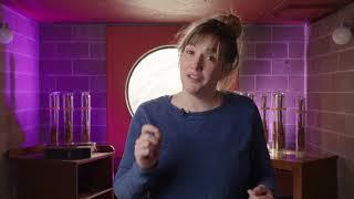 Melissa Omand: A Sea of Minions and the Carbon Cycle | TED Talk