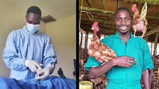 Dr. Daniel Masaba: From Medical Doctor to Chicken Farmer | TED Talk
