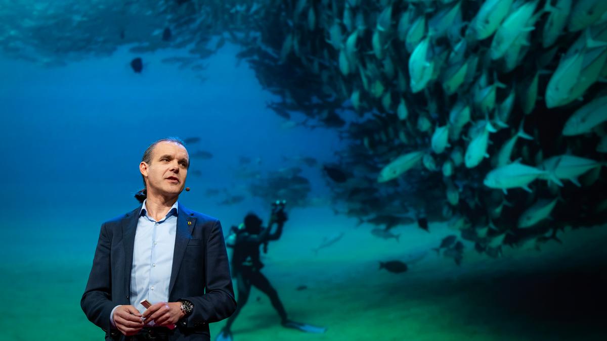 Enric Sala: Let's turn the high seas into the world's largest nature reserve | TED Talk