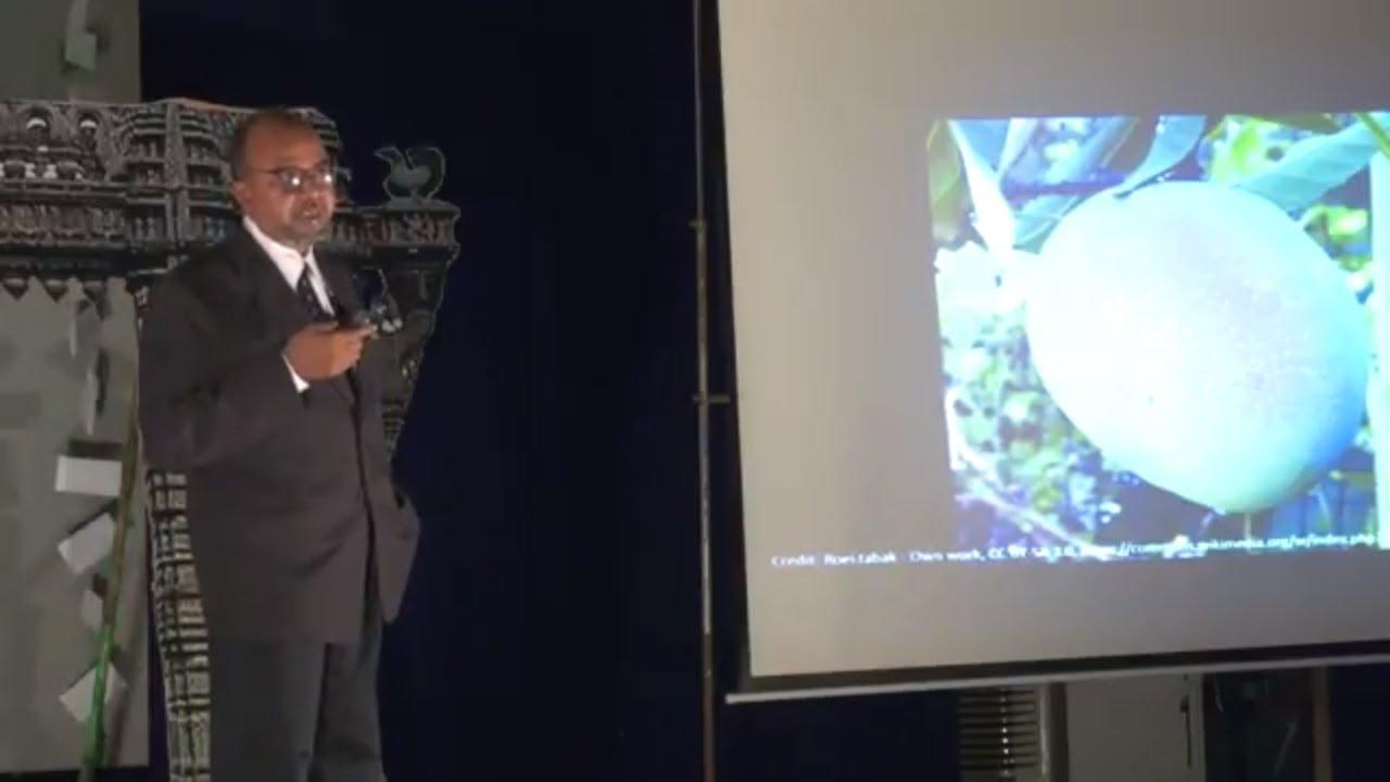 Pratap Sriram Sundar: Mega Factory: Nature | TED Talk