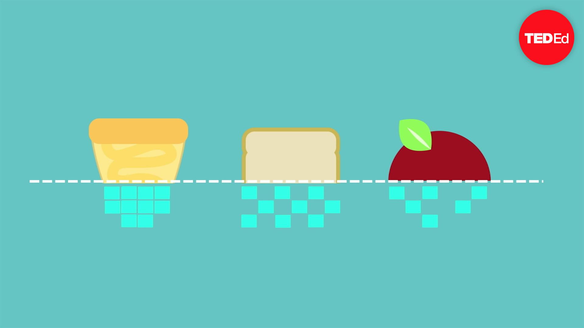 Emma Bryce What Is A Calorie Ted Talk