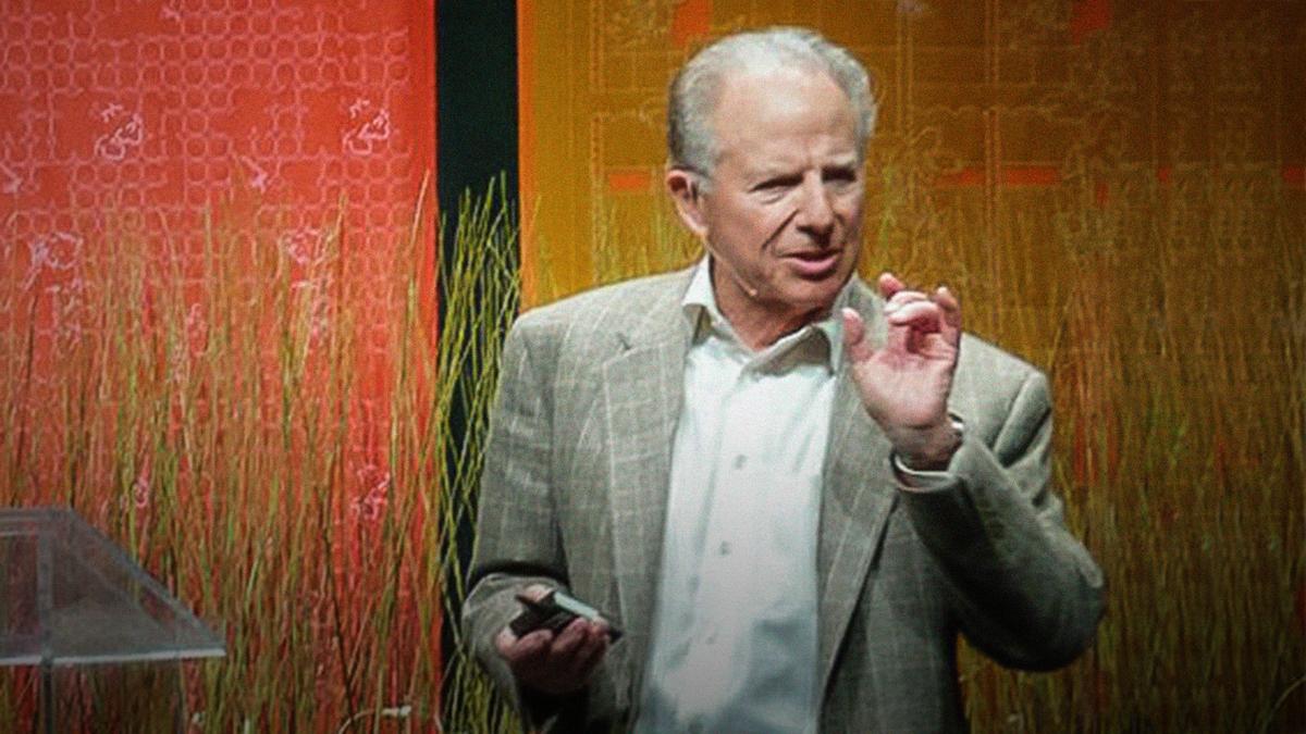 Stuart Brown: Play is more than just fun | TED Talk