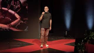 Israel Aharoni: Culinary Hybridity Along The Silk Road | TED Talk