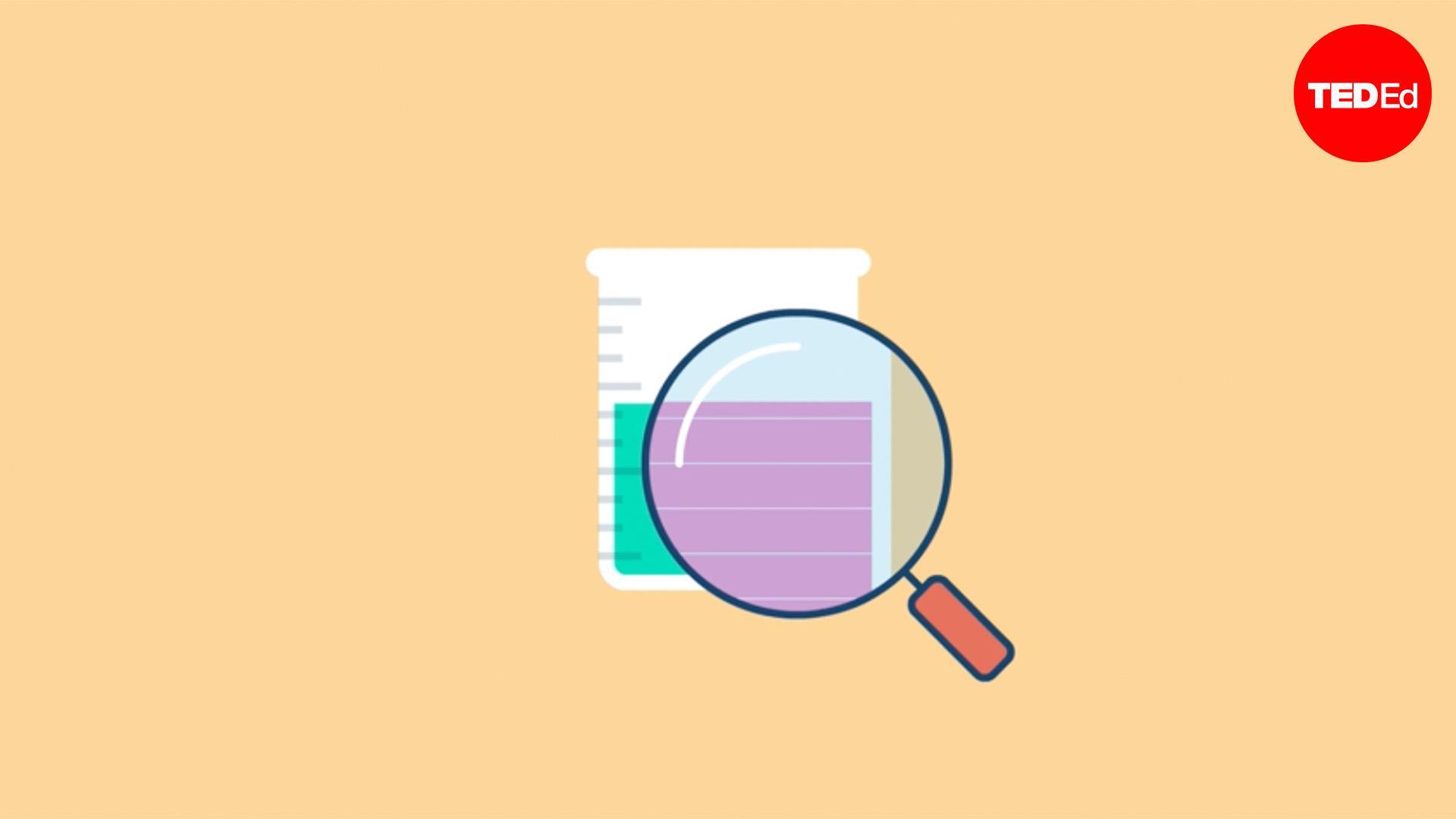 Siska De Baerdemaeker: 3 questions to ask yourself before you believe ...