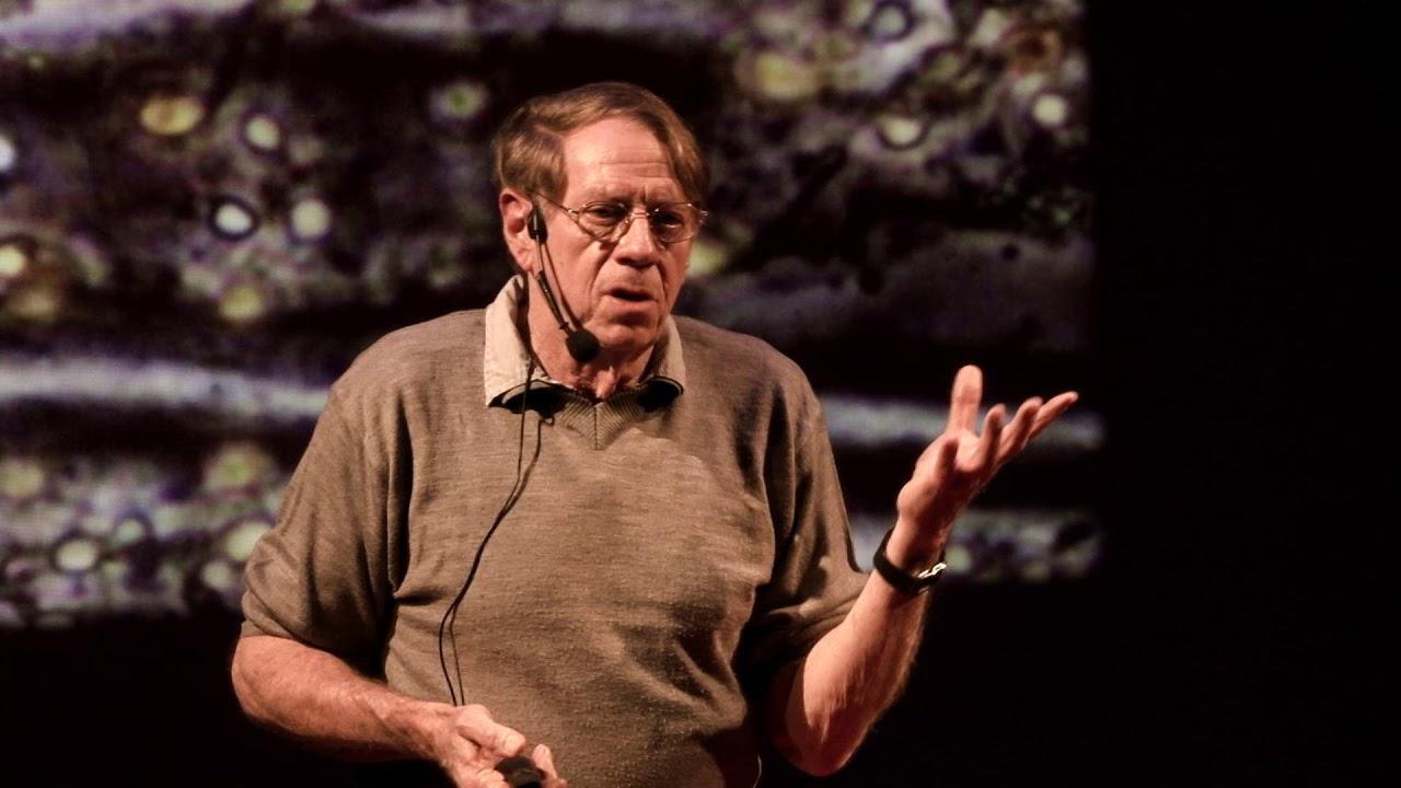 Arthur Dahl: L'information : Propriété Privée ou Bien Commun ? | TED Talk