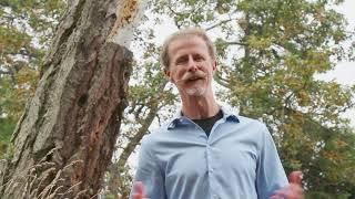 David Boyd: Human rights as a catalyst for ambitious climate action ...