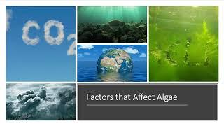 Keefe Chang: Climate Change & Warm Water Algae | TED Talk