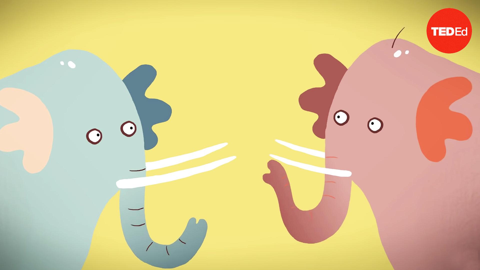 Chase LaDue and Bruce A. Schulte: The best nose in the animal kingdom ...